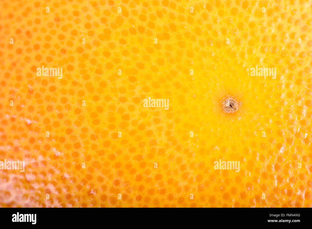 Fruit texture hi-res stock photography and images - Alamy