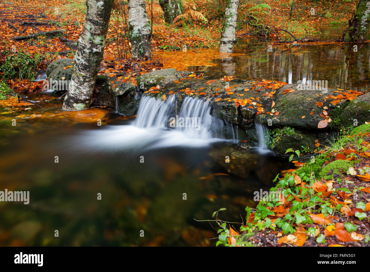 Autumn landscape with river and beautiful foliage Stock Photo - Alamy