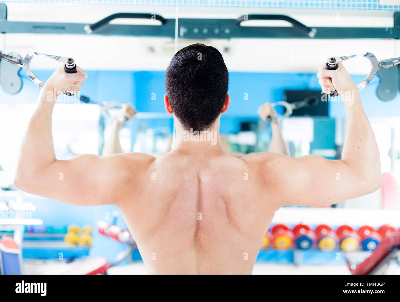 Strong handsome man exercising his back at the gym Stock Photo - Alamy