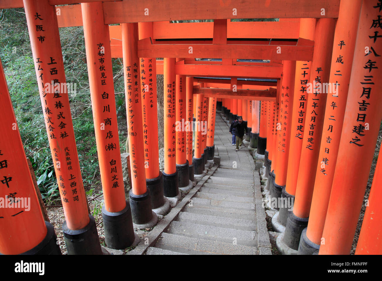 Japan; Kyoto; Fushimi Inari Taisha Shrine, torii gates Stock Photo - Alamy