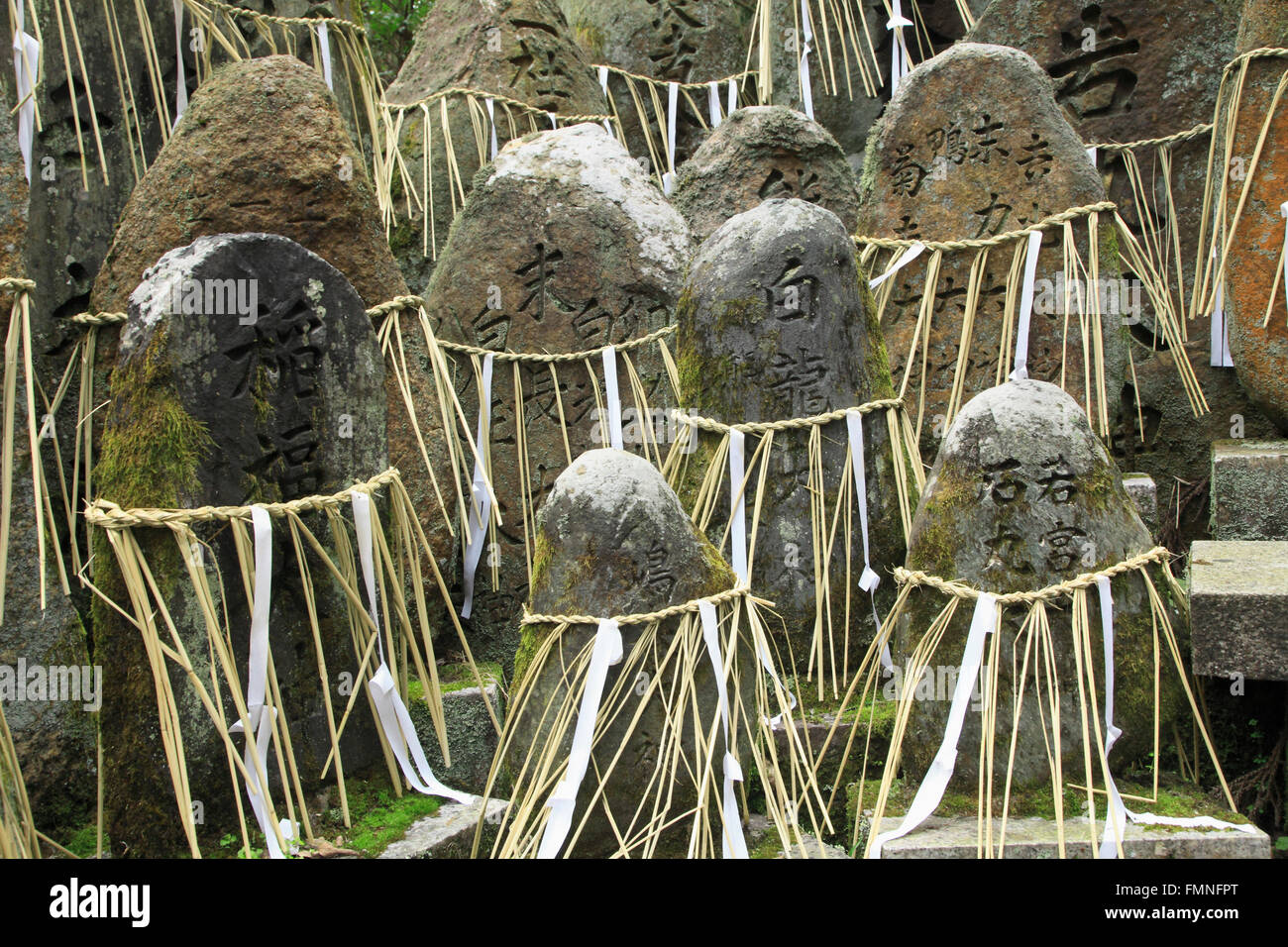 Japan; Kyoto; Fushimi Inari Taisha Shrine, stone inscriptions, sacred ...