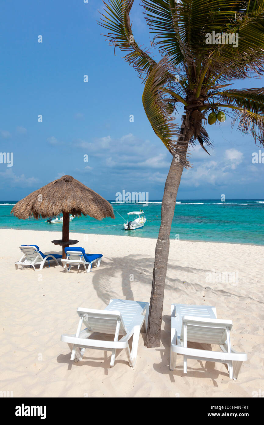 Idyllic beach with coconut tree at Mexico Stock Photo - Alamy