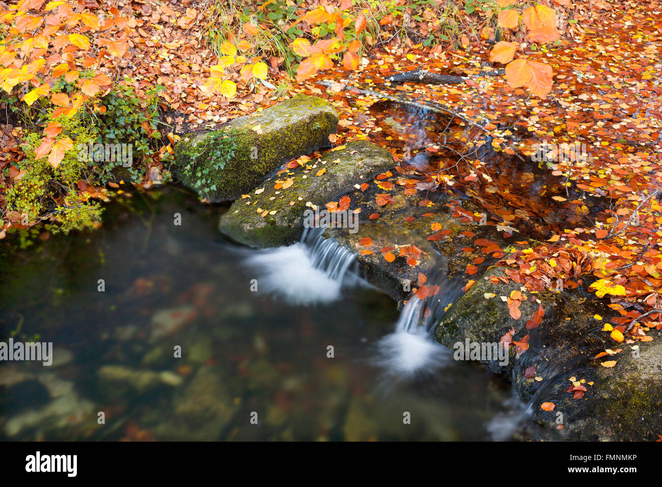 Autumn landscape with fallen leaves and river Stock Photo - Alamy