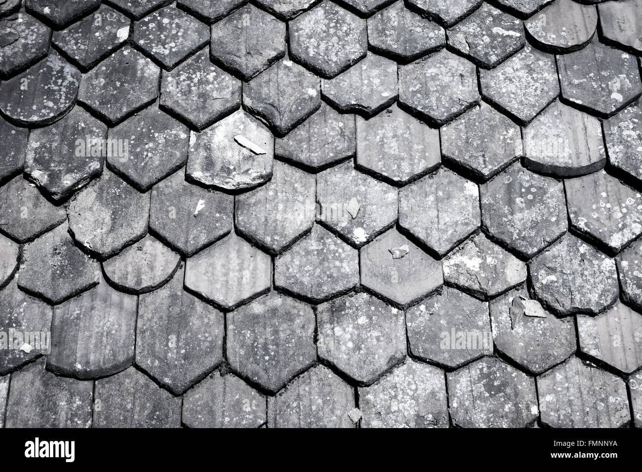 Shingles texture hi-res stock photography and images - Alamy