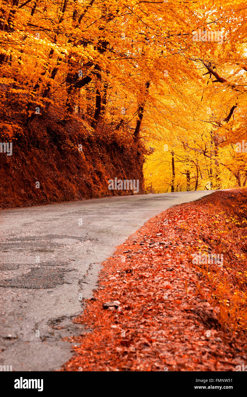 Beautiful autumn landscape with road and beautiful colored trees Stock ...