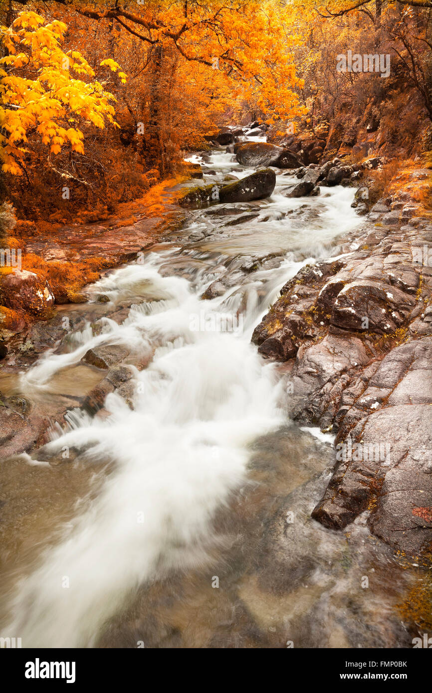 Autumn landscape with river and beautiful colored trees Stock Photo - Alamy