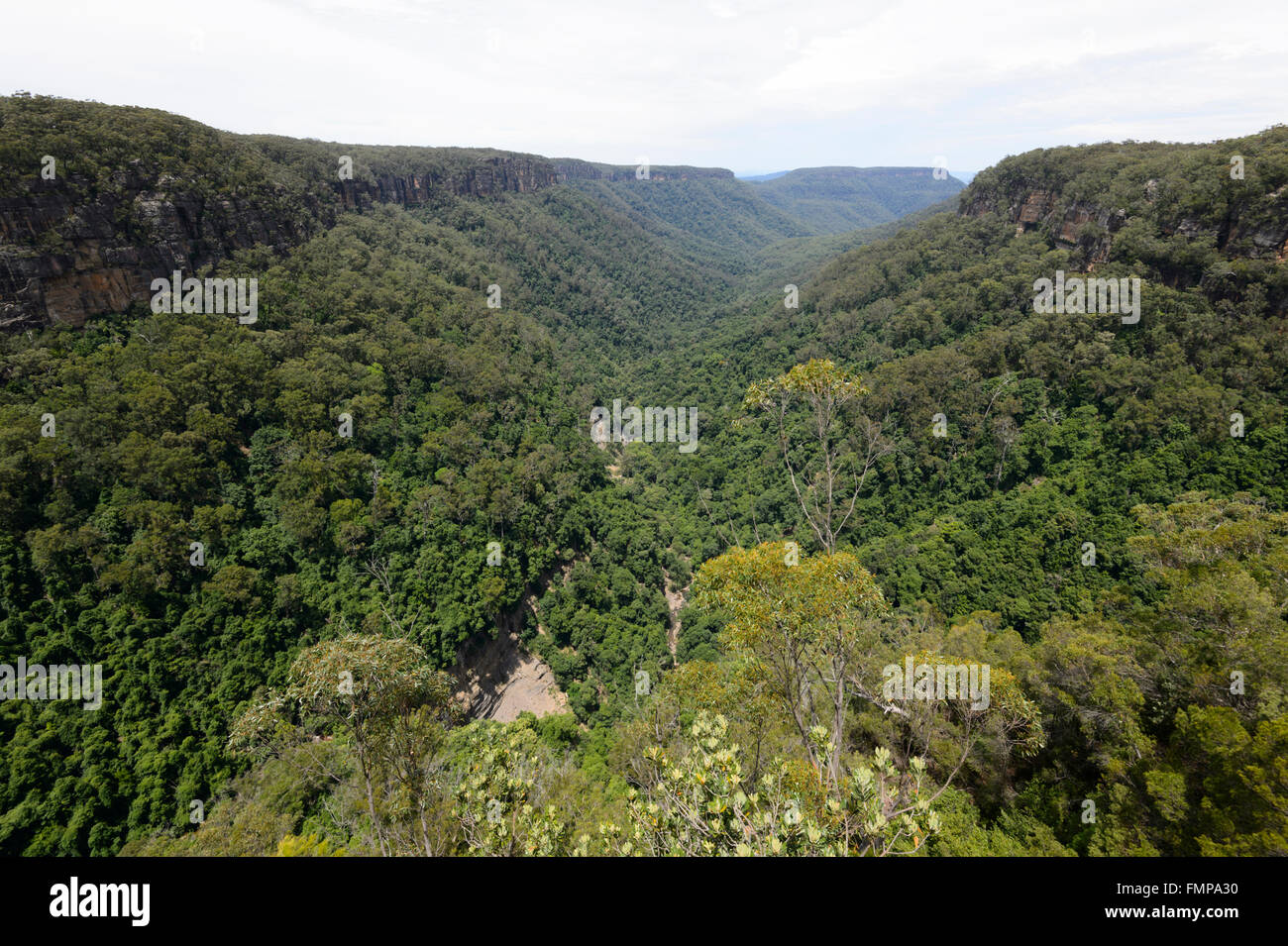 Fitzroy Falls Australia High Resolution Stock Photography and Images ...