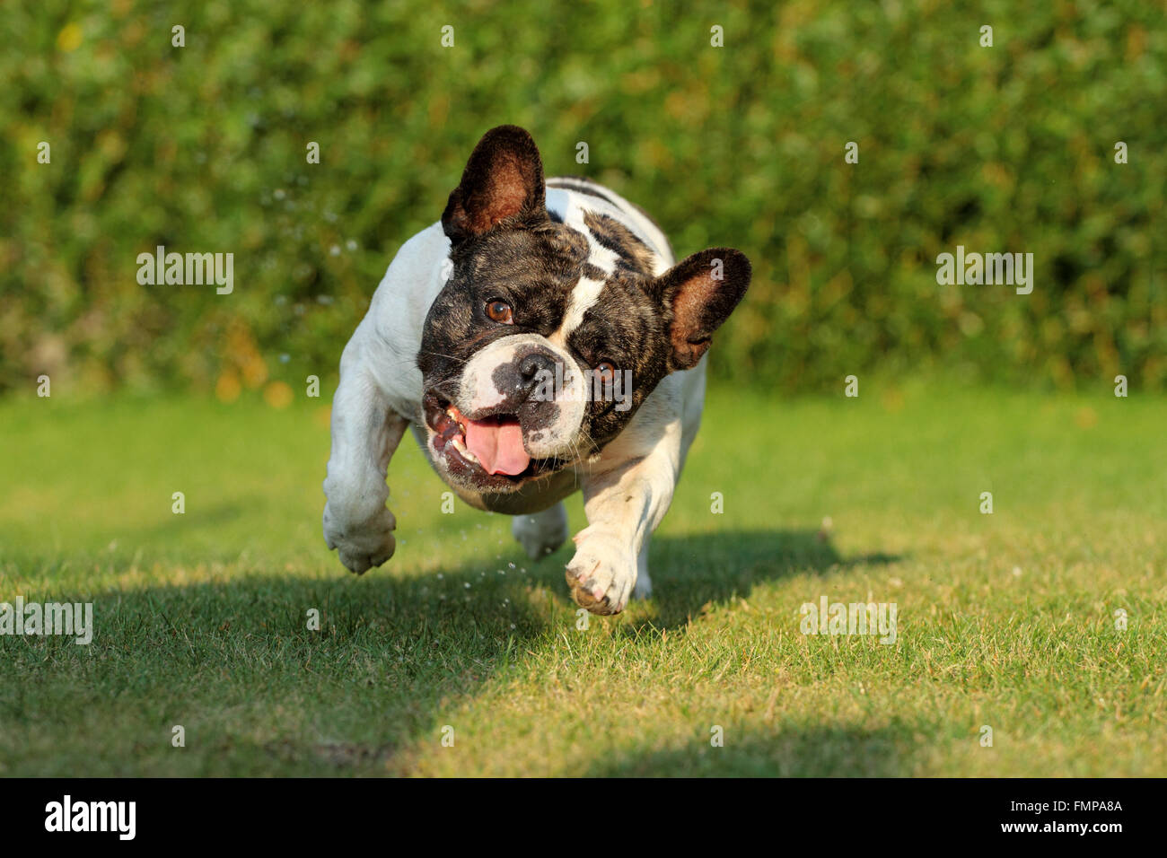 Running towards camera hi-res stock photography and images - Alamy