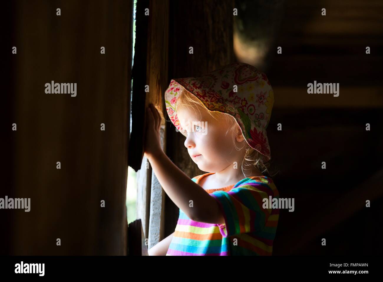 Toddler looking out of a window, Enchanted Forest in Bernau, Black ...