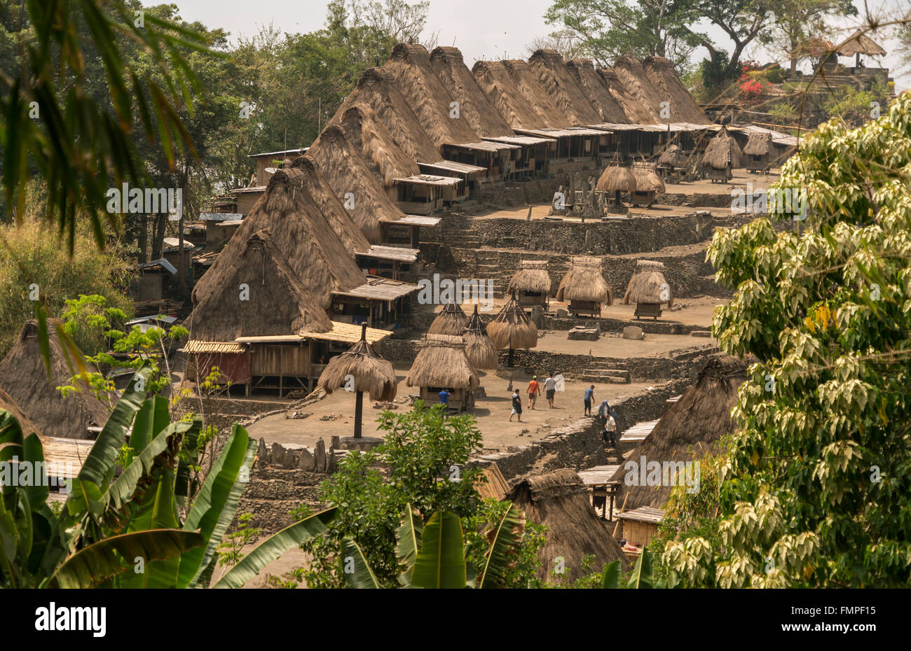 Village square, shrines and traditional thatched wooden houses, Ngada ...