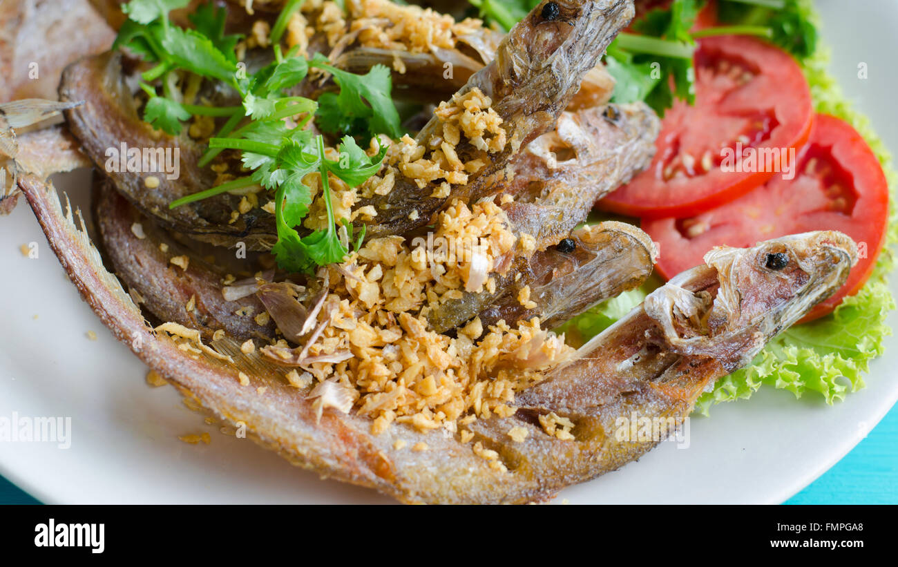 River fish hi-res stock photography and images - Alamy