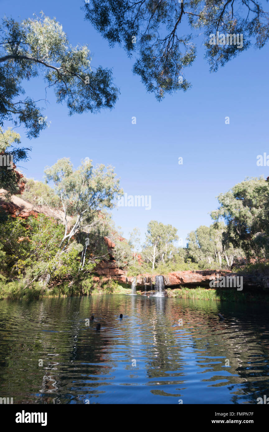 Fern Pool, Dales Gorge, Karijini National Park, Pilbara, Western ...