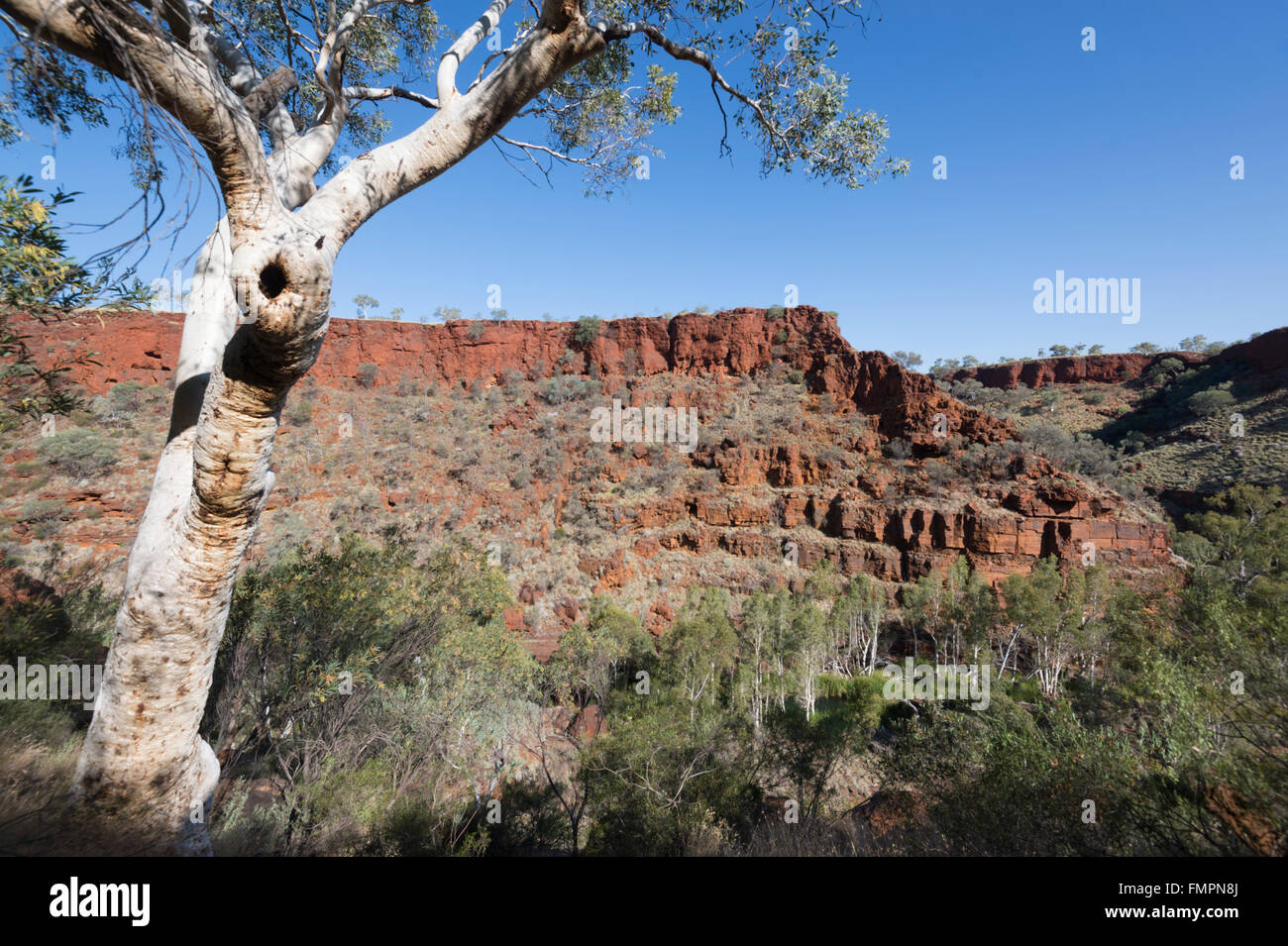 Dales Gorge, Karijini National Park, Pilbara, Western Australia, WA ...