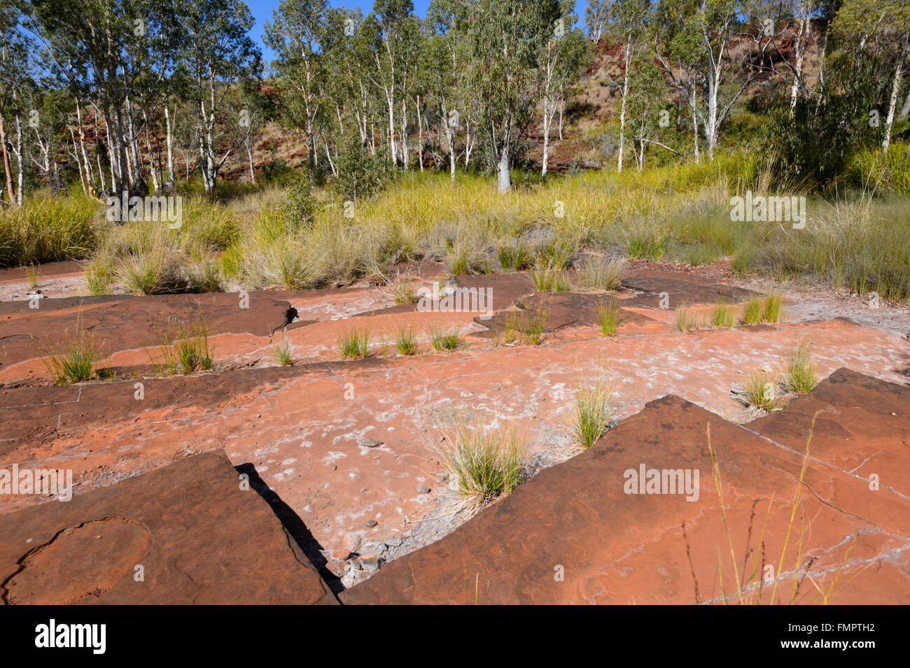 Kalamina Gorge, Karijini National Park, Pilbara, Western Australia, WA ...