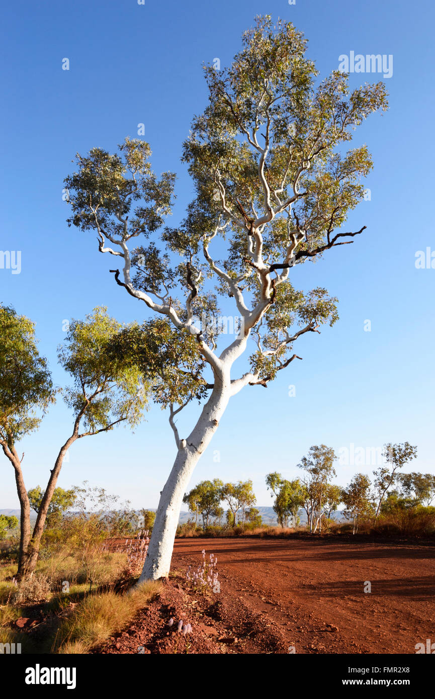 Karijini National Park, Pilbara, Western Australia, WA, Australia Stock ...