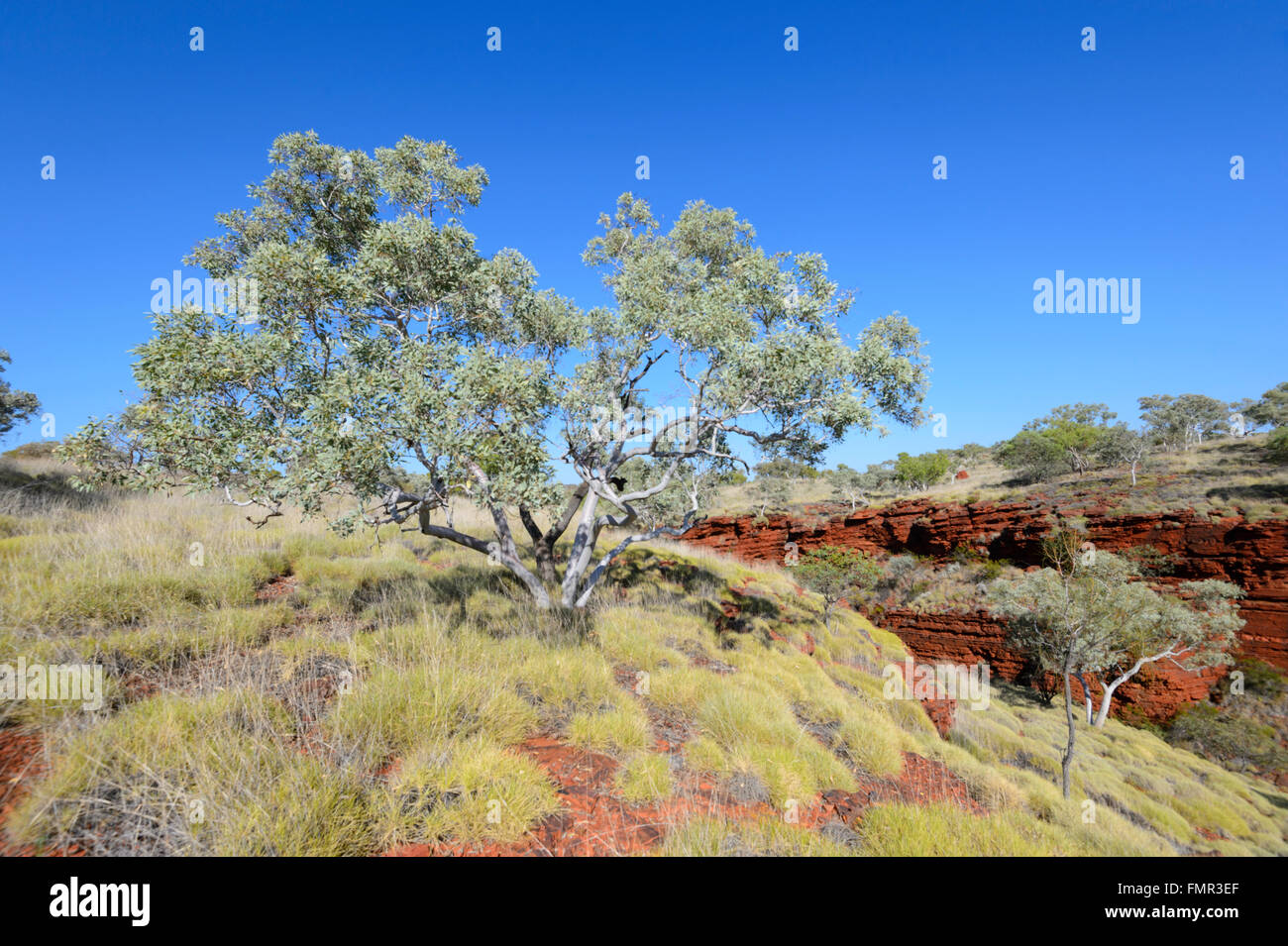 Pilbara australia hi-res stock photography and images - Alamy