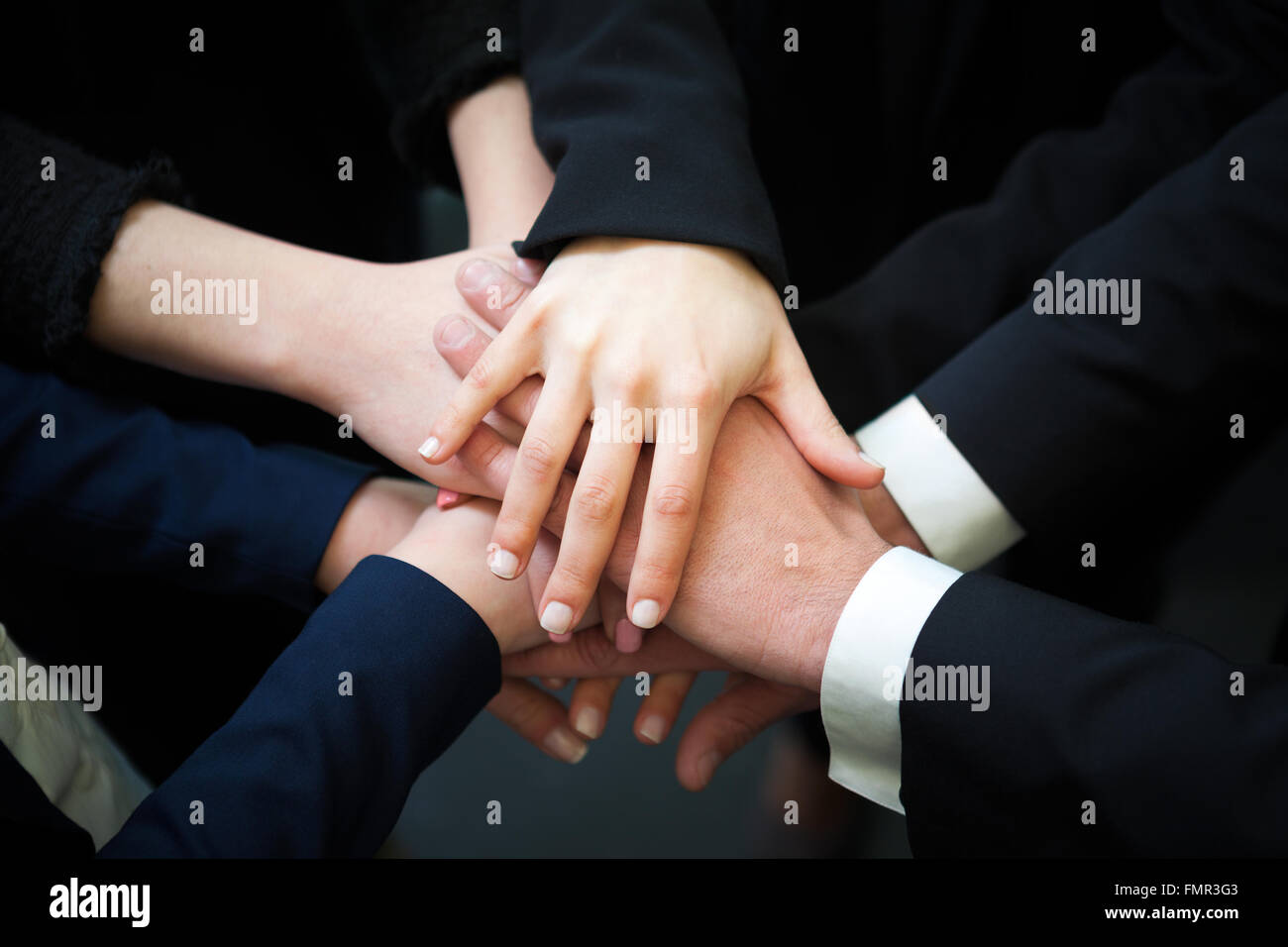 Teamwork activity business team working hi-res stock photography and ...