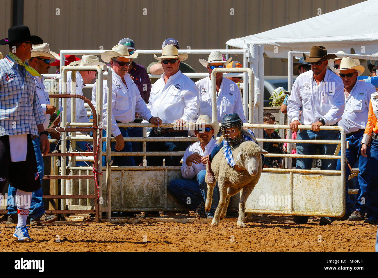 Rodeo mutton bustin hi-res stock photography and images - Alamy