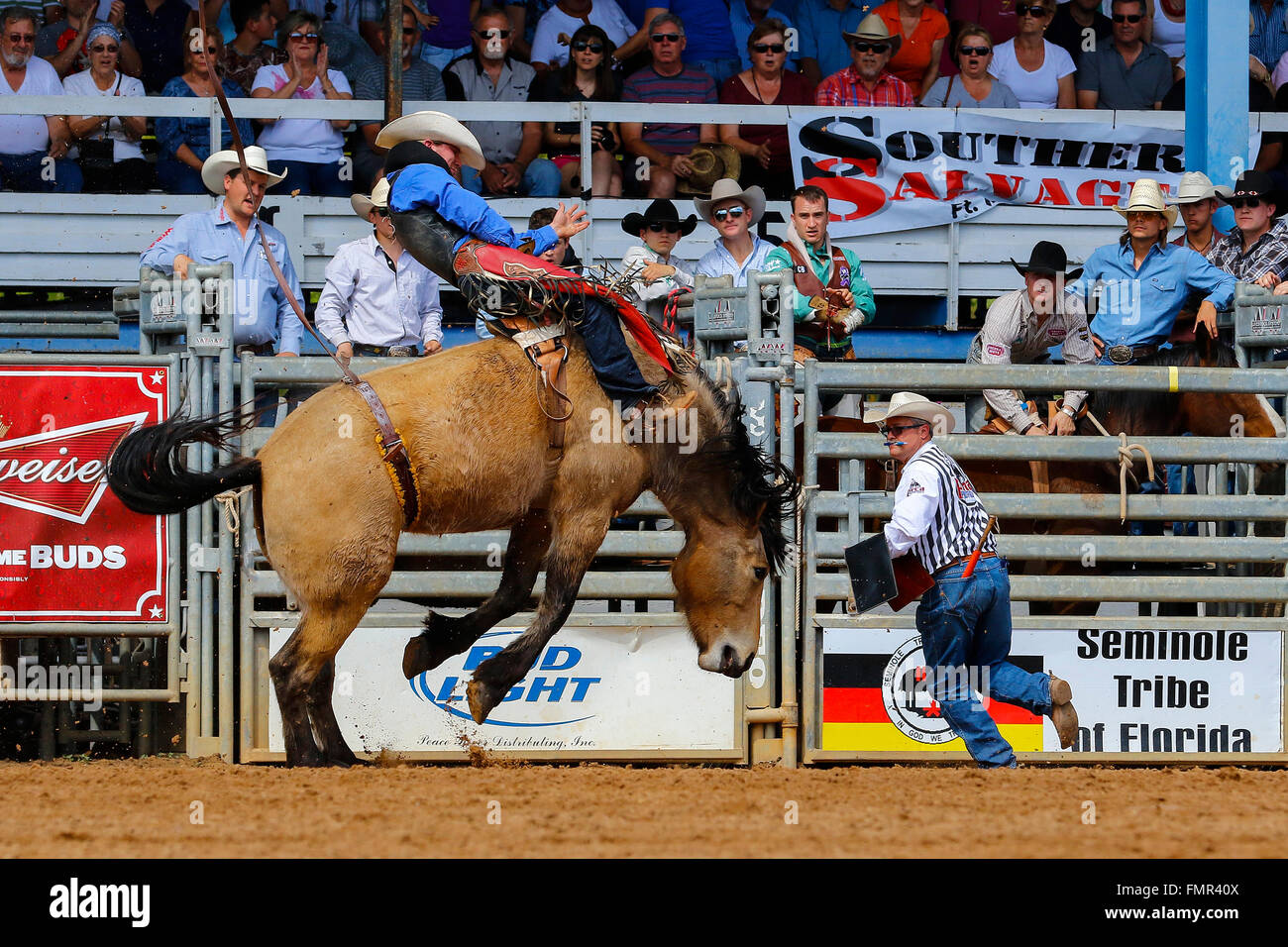 Man riding horse bareback in hi-res stock photography and images - Alamy