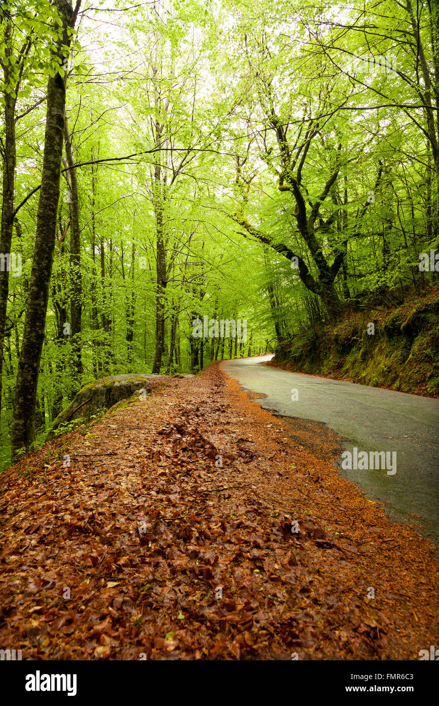 Beautiful landscape road hi-res stock photography and images - Alamy