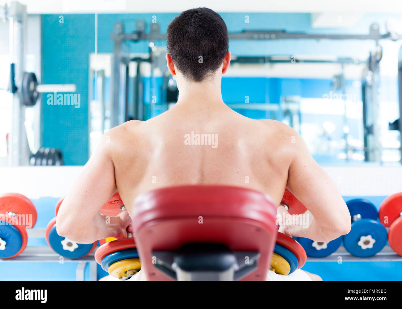 Handsome man from back training with weights at the gym Stock Photo - Alamy