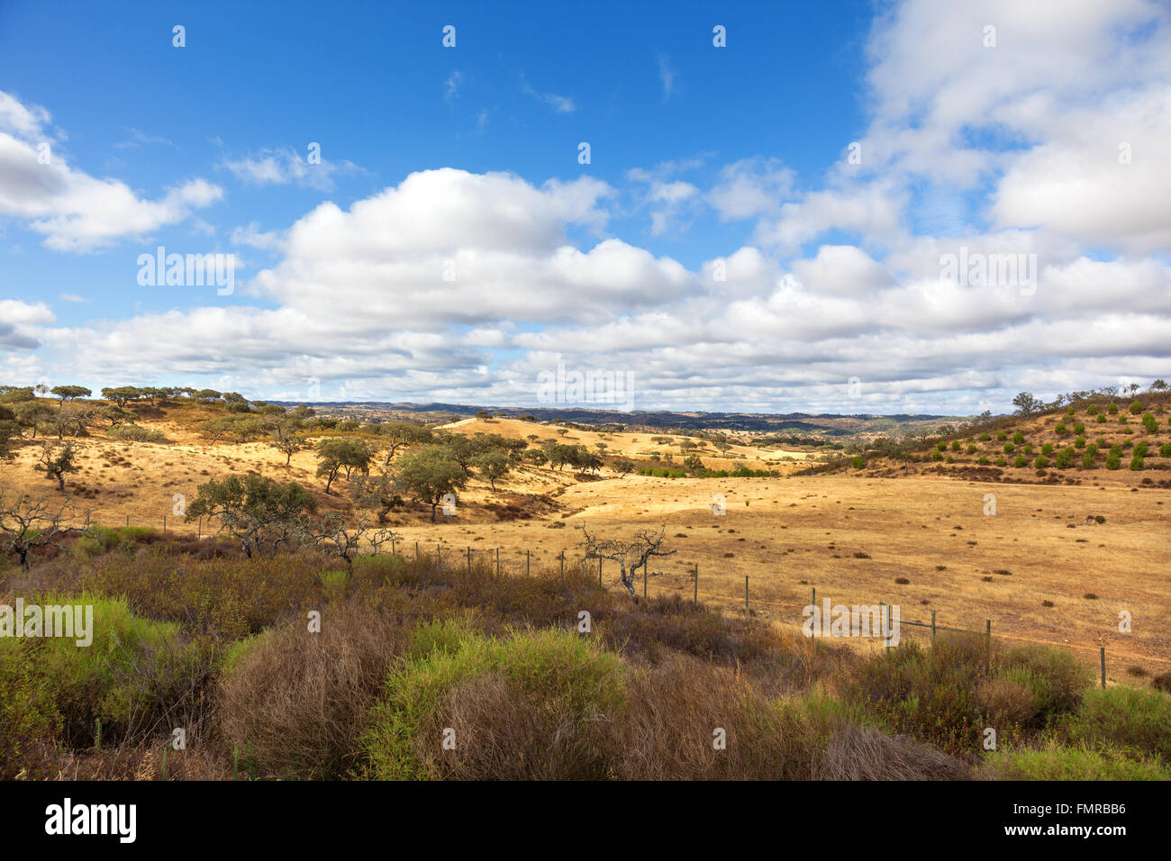 Alentejo landscape with trees and beautiful sky Stock Photo - Alamy