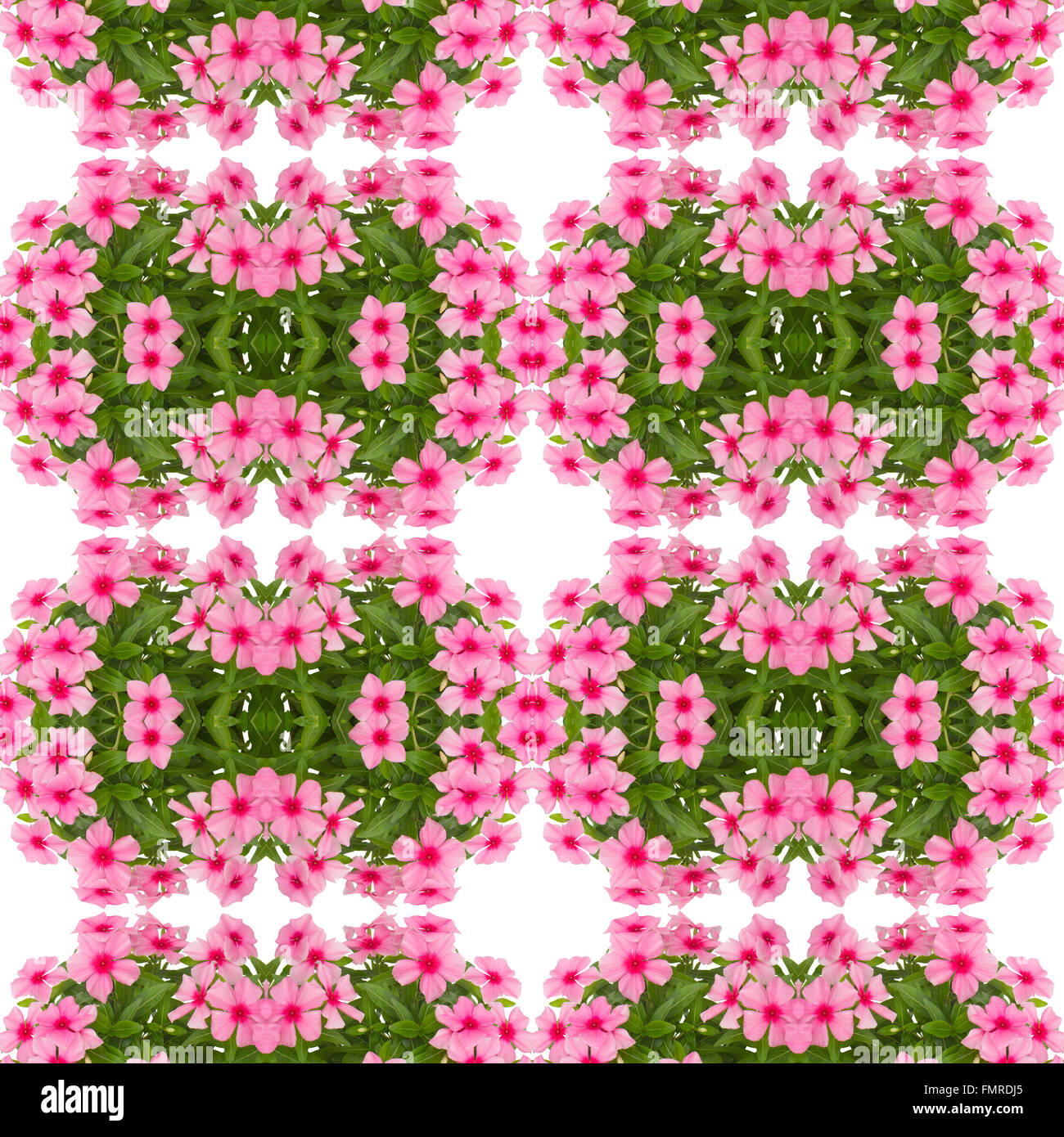 Periwinkle seamless pattern background Stock Photo - Alamy