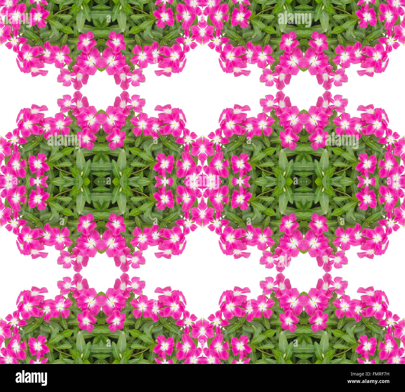 Periwinkle seamless pattern background Stock Photo - Alamy