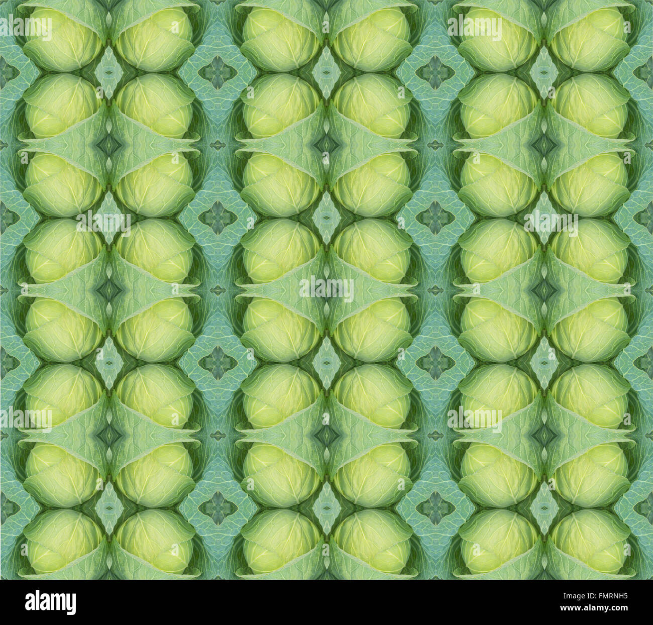 green cabbage seamless pattern background Stock Photo - Alamy