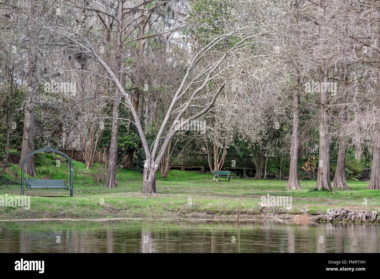 Pond surrounded by trees hi-res stock photography and images - Alamy