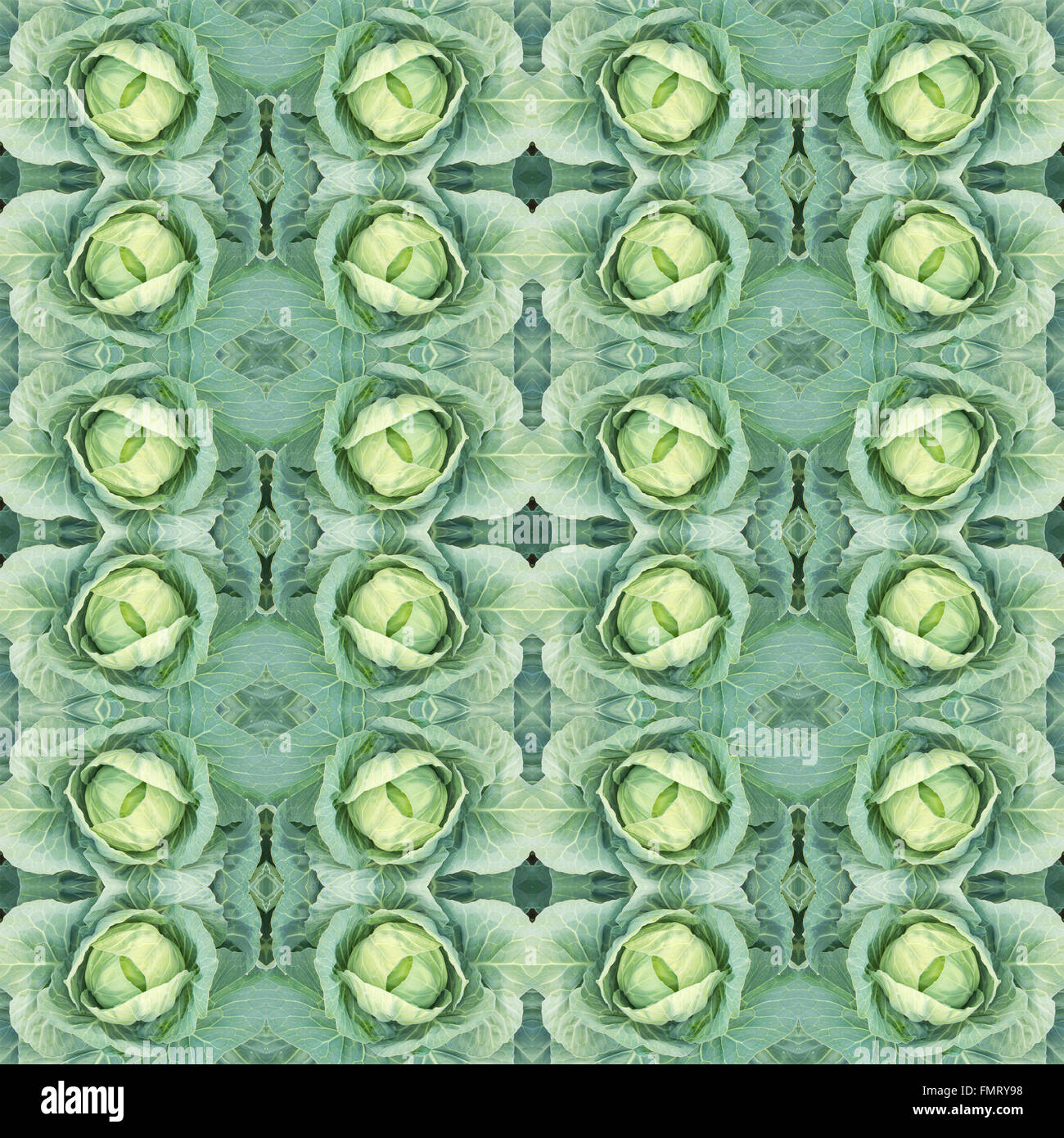 green cabbage seamless pattern background Stock Photo - Alamy