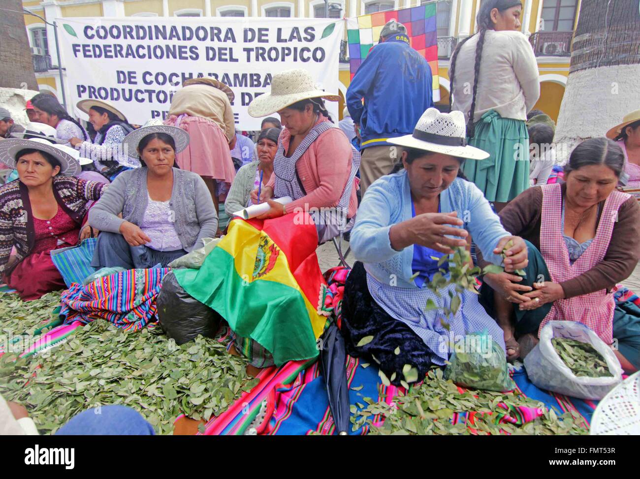 Chewing on leaves hi-res stock photography and images - Alamy
