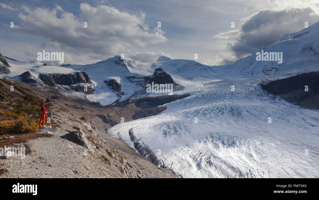 Exploring the Snowbird Pass Trail at Mount Robson Provincial Park ...