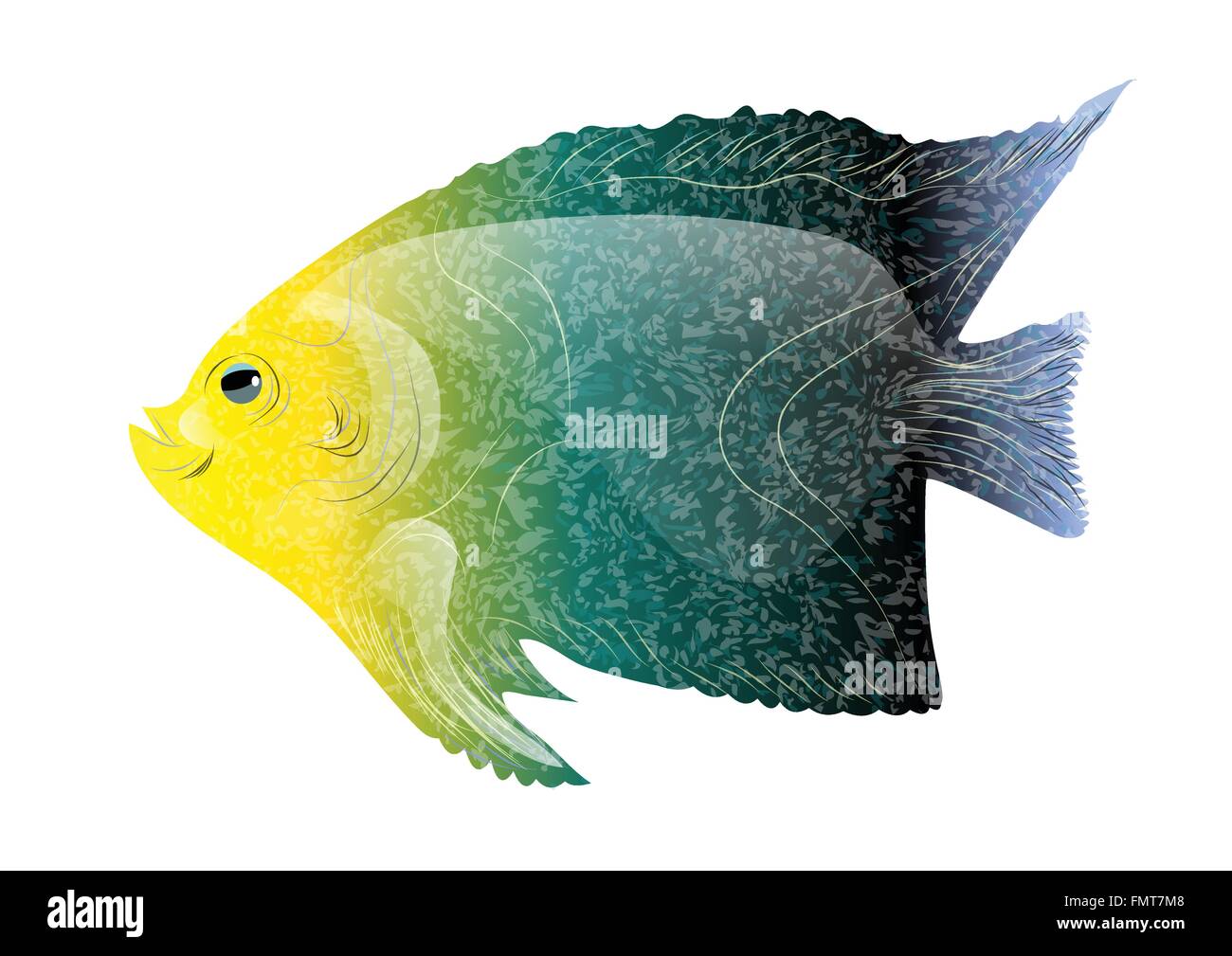 tropical fish isolated on a white background Stock Vector Image & Art ...