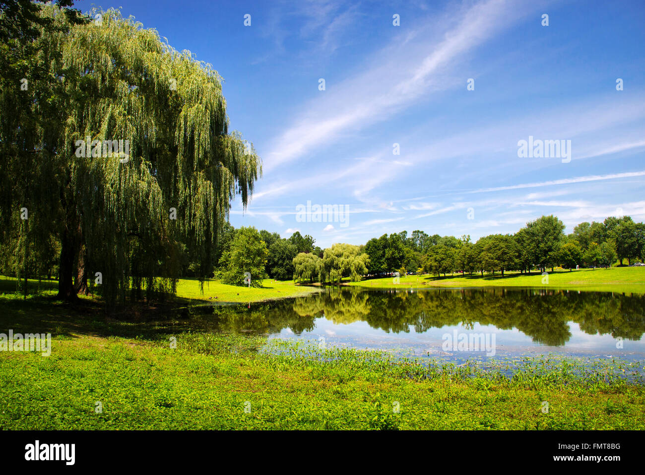 Spring green pond landscape with beautiful blue sky at Otsiningo Park ...