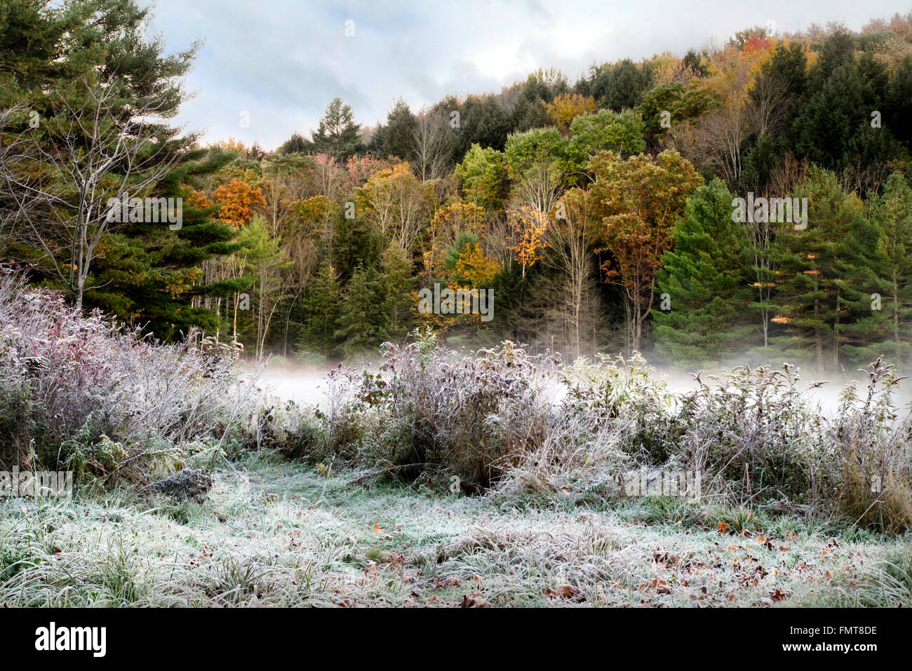 Broome county new york hi-res stock photography and images - Alamy