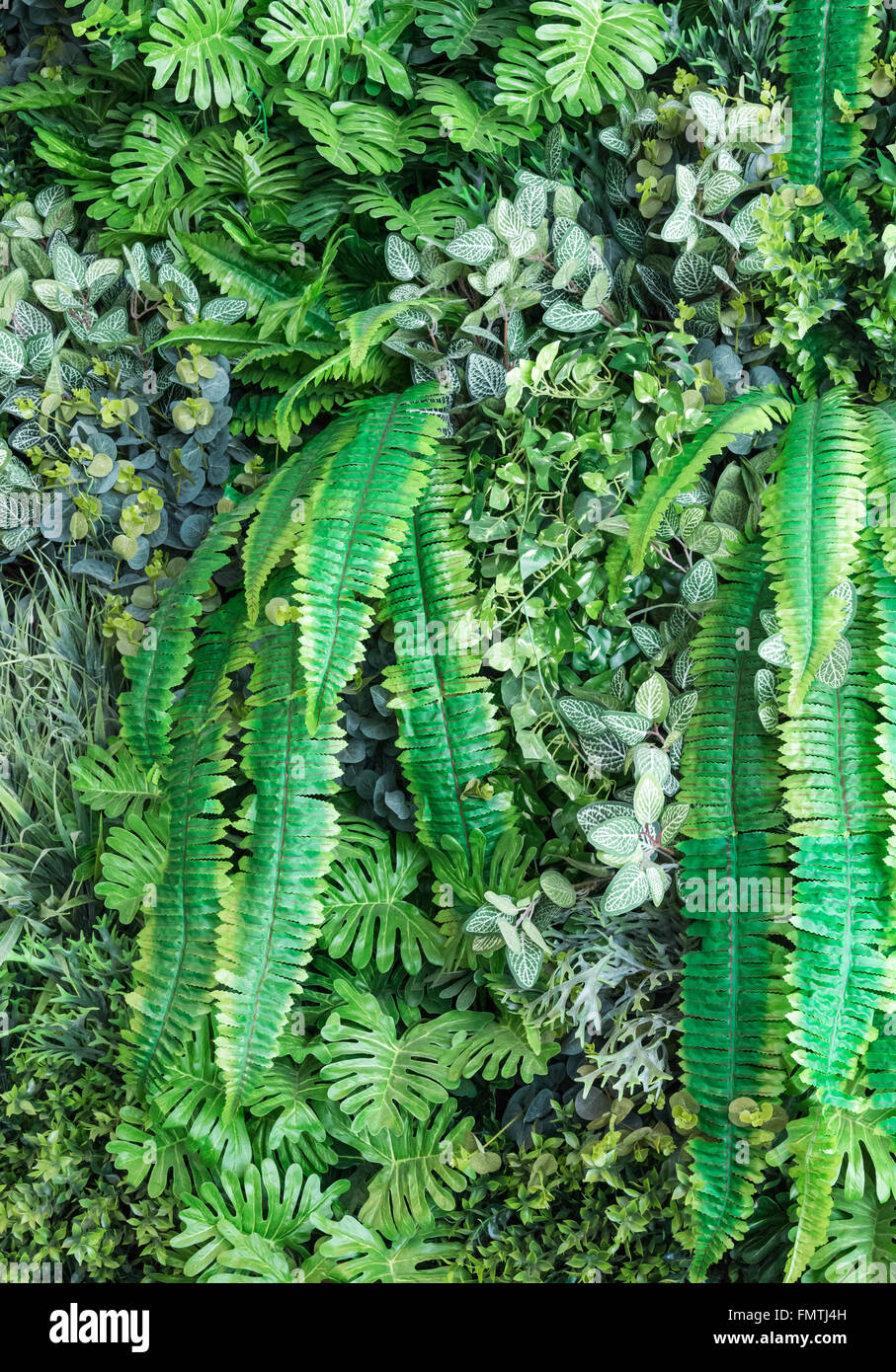 Artificial plant garden of the vertical decoration set in food hall ...