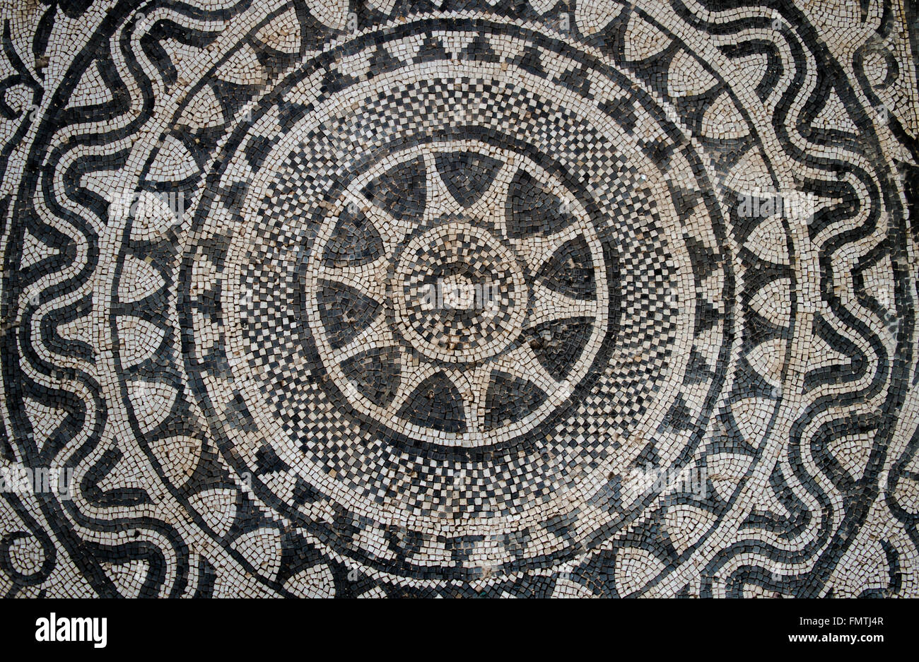 Octopus, Roman floor mosaic, Risan Montenegro Stock Photo - Alamy