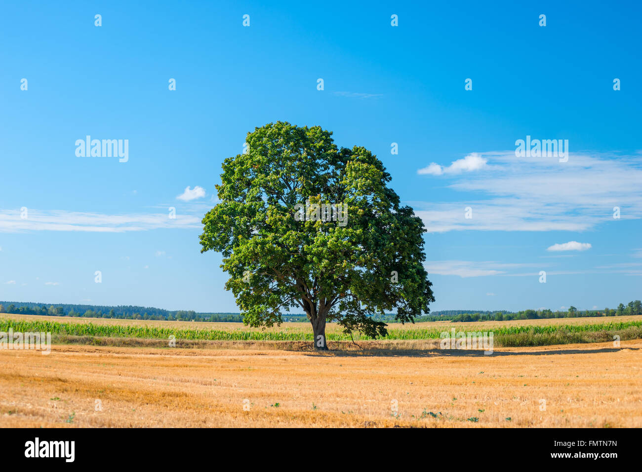 Beautiful scenery on sunny hi-res stock photography and images - Alamy
