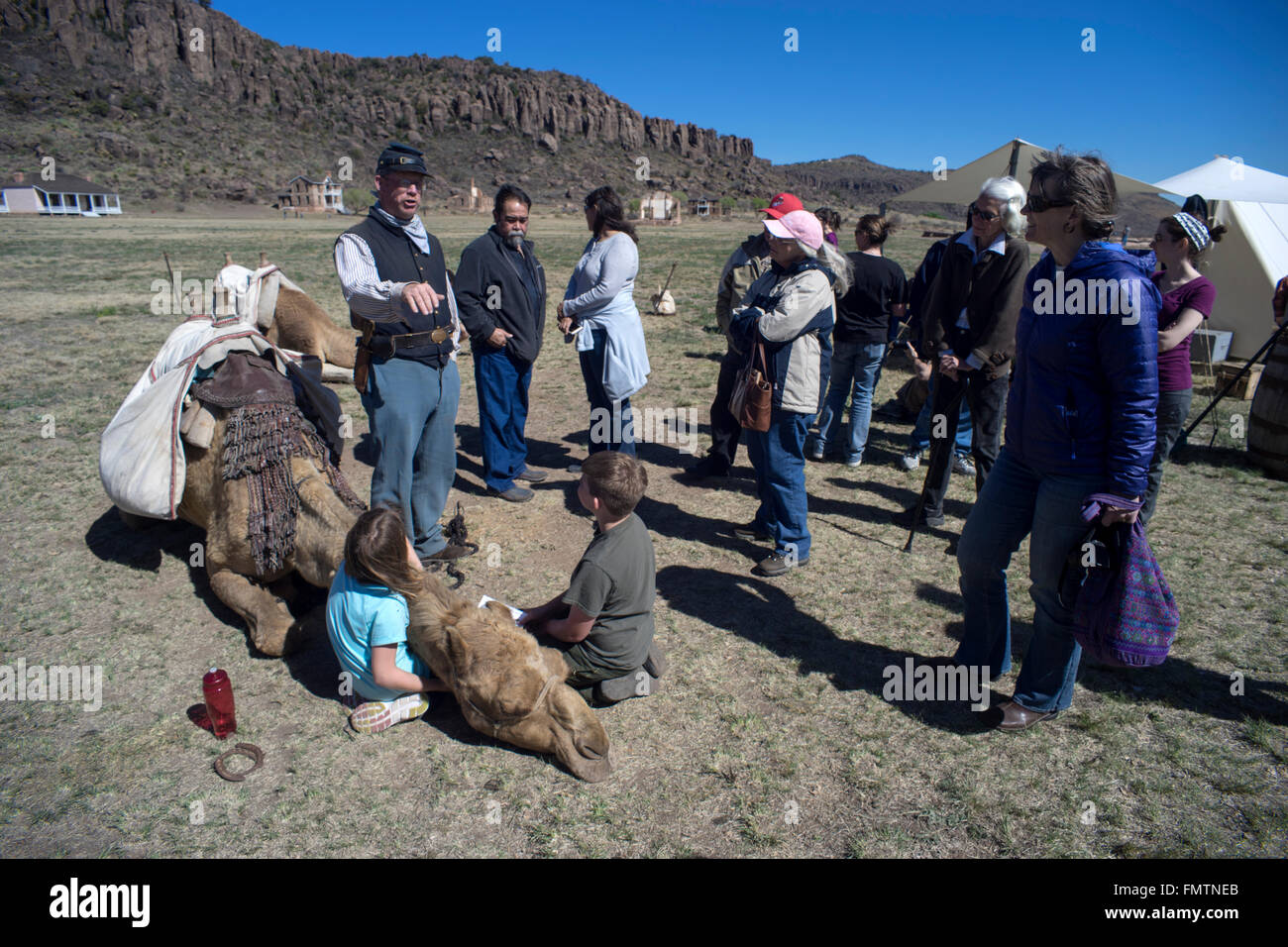 Camel corps texas hi-res stock photography and images - Alamy