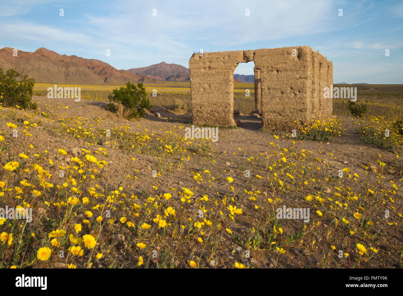 Ashford mill ruins hi-res stock photography and images - Alamy