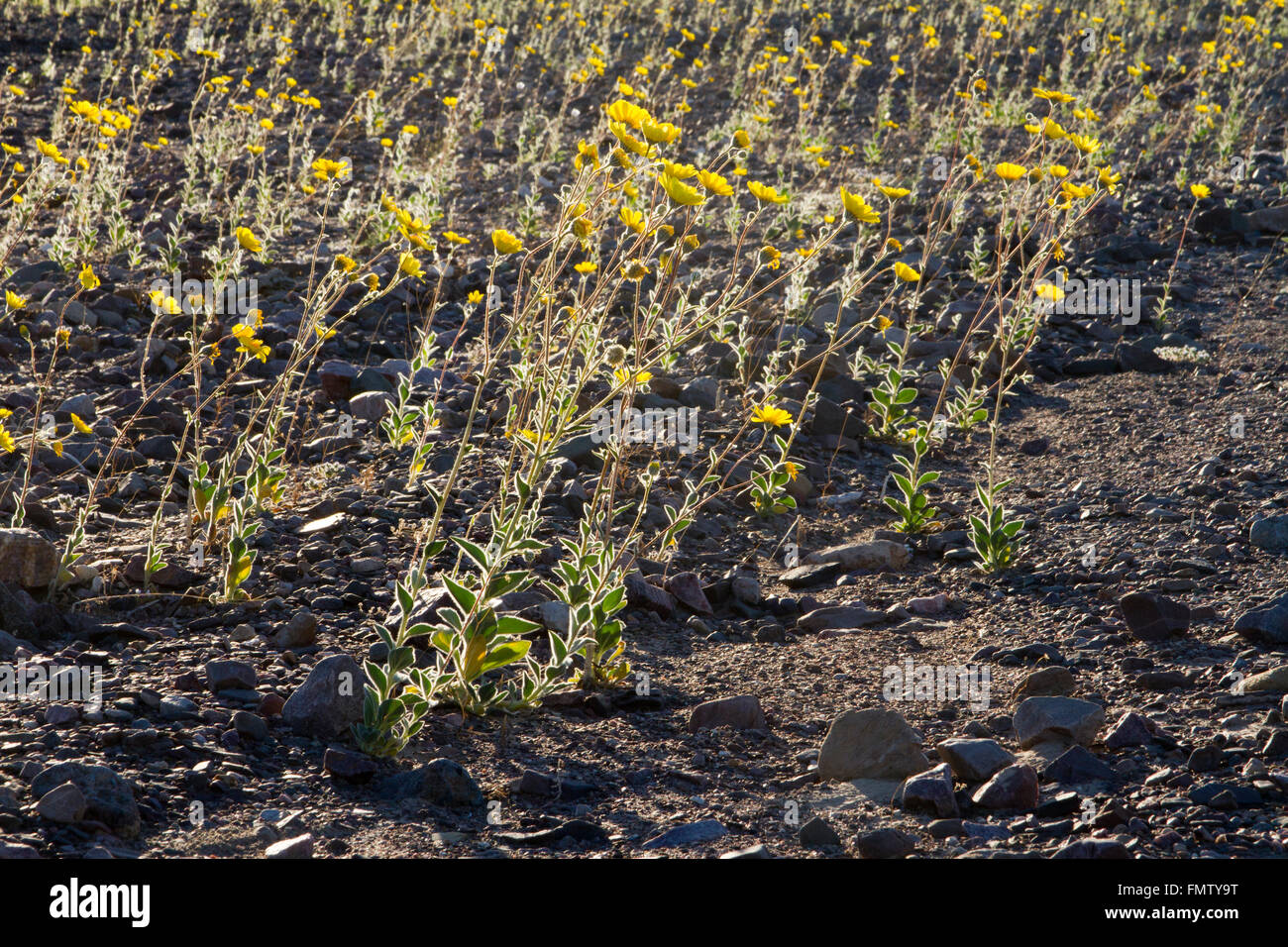 Hwy 190 hi-res stock photography and images - Alamy