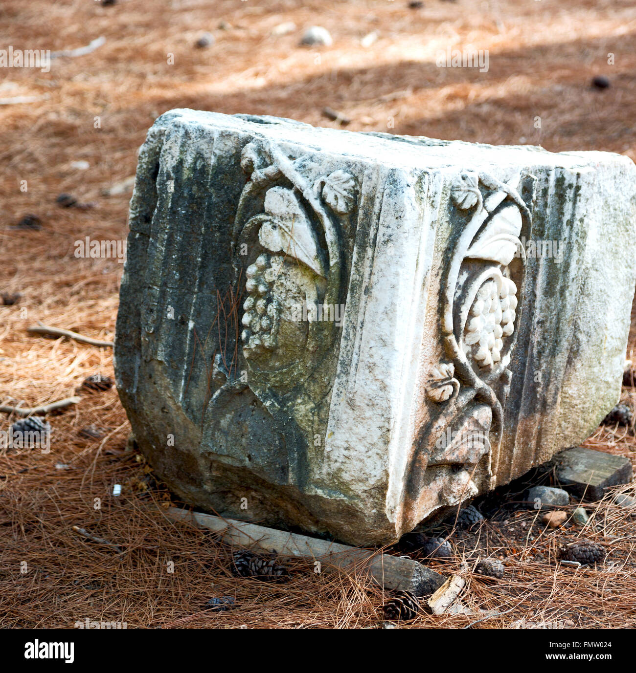 in phaselis temple turkey asia old ruined column and destroyed stone ...