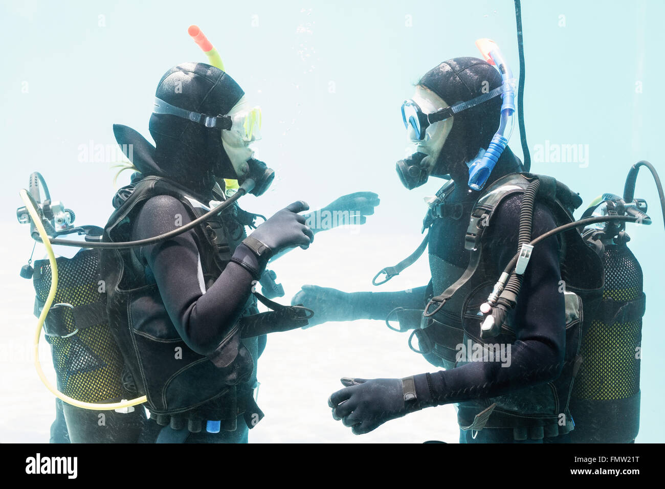 Couple practicing scuba diving together Stock Photo - Alamy