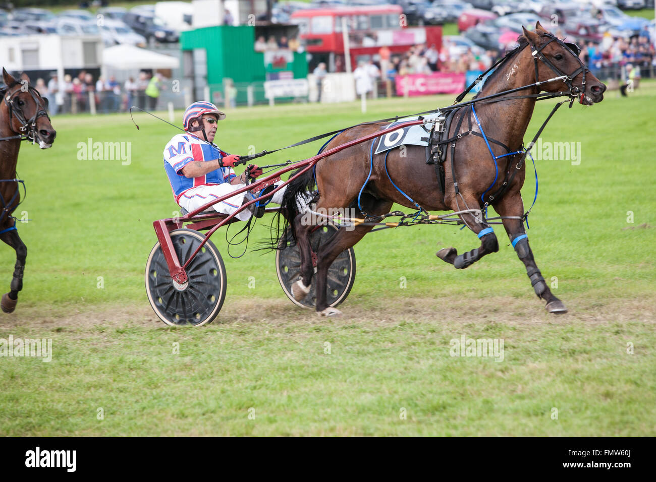 Harness horse racing at Tregaron,Ceredigion,Wales,U.K.,Europe Stock ...