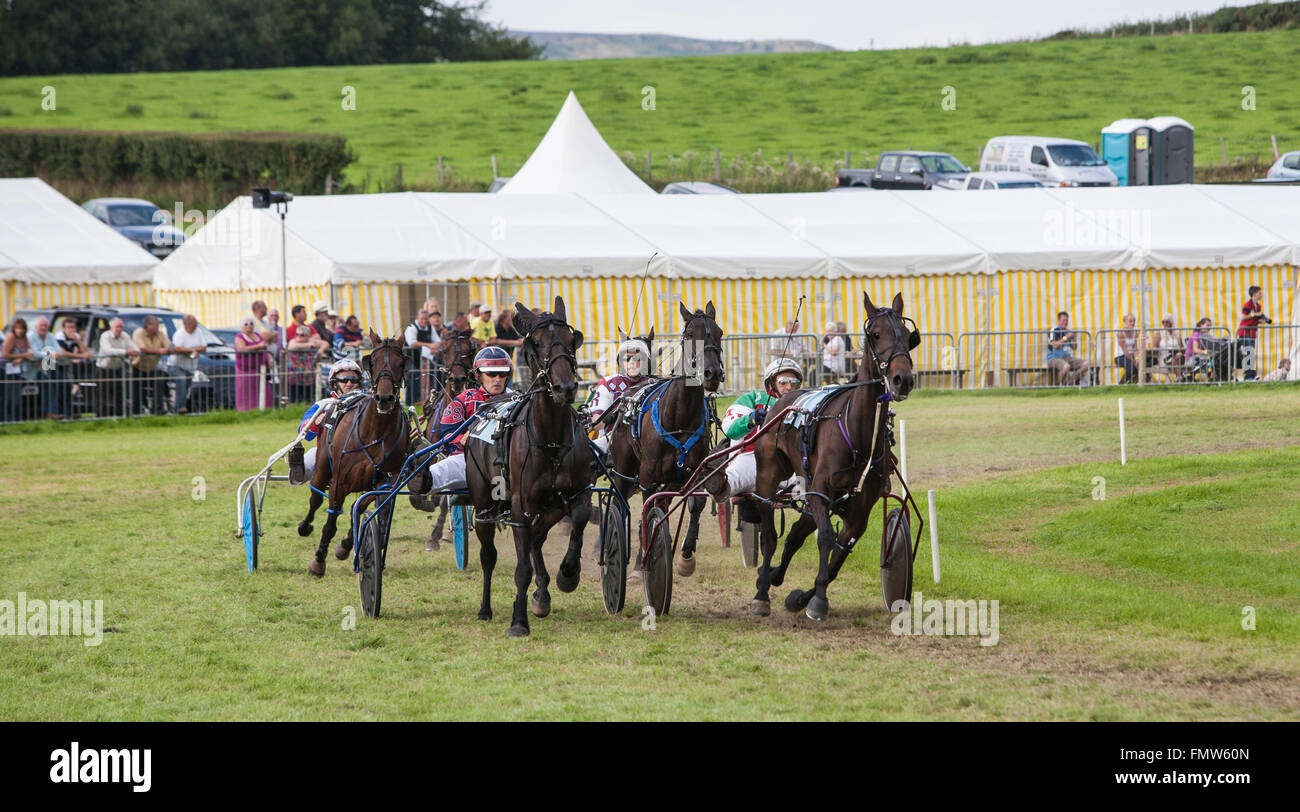 Harness horse racing at Tregaron,Ceredigion,Wales,U.K.,Europe Stock ...