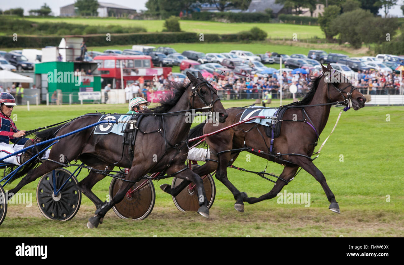 Harness horse racing at Tregaron,Ceredigion,Wales,U.K.,Europe Stock ...