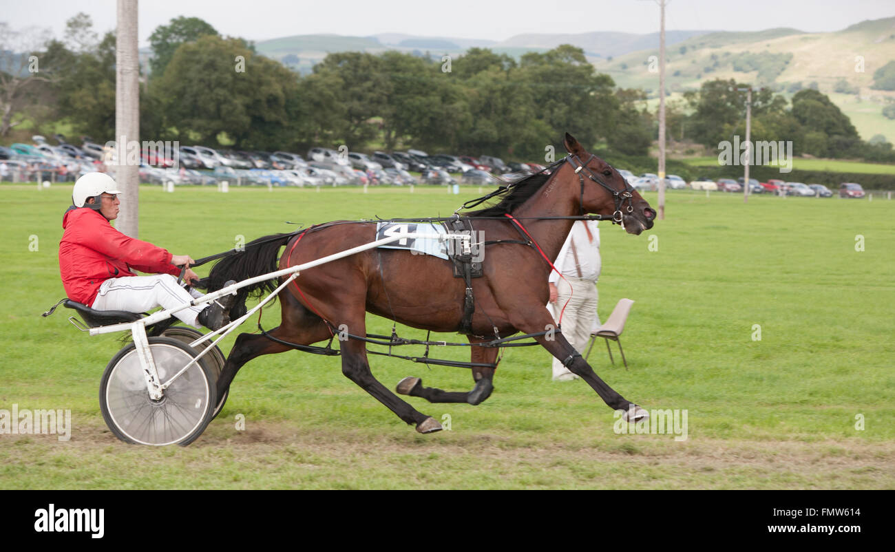 Harness horse racing at Tregaron,Ceredigion,Wales,U.K.,Europe Stock ...