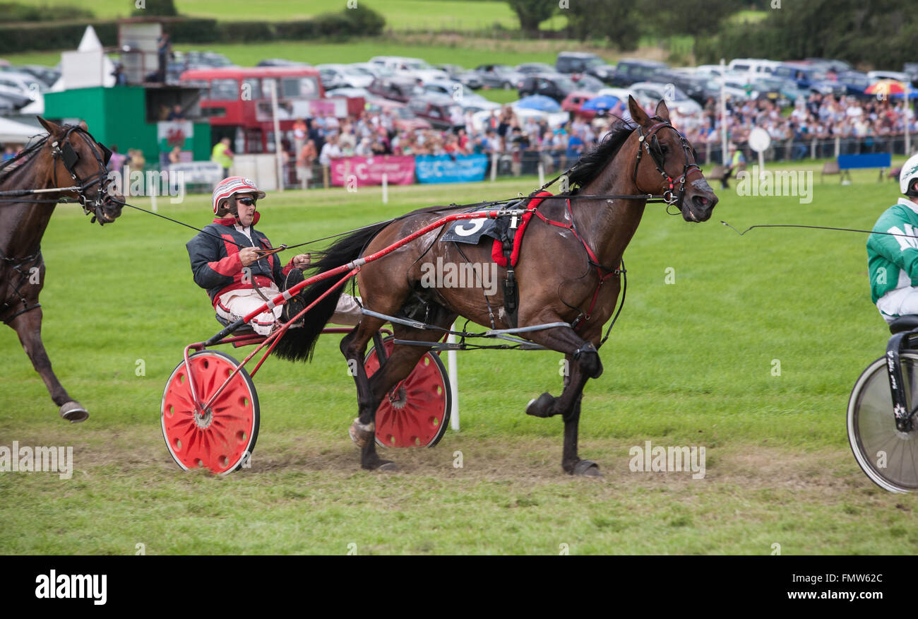 Harness horse racing at Tregaron,Ceredigion,Wales,U.K.,Europe Stock ...