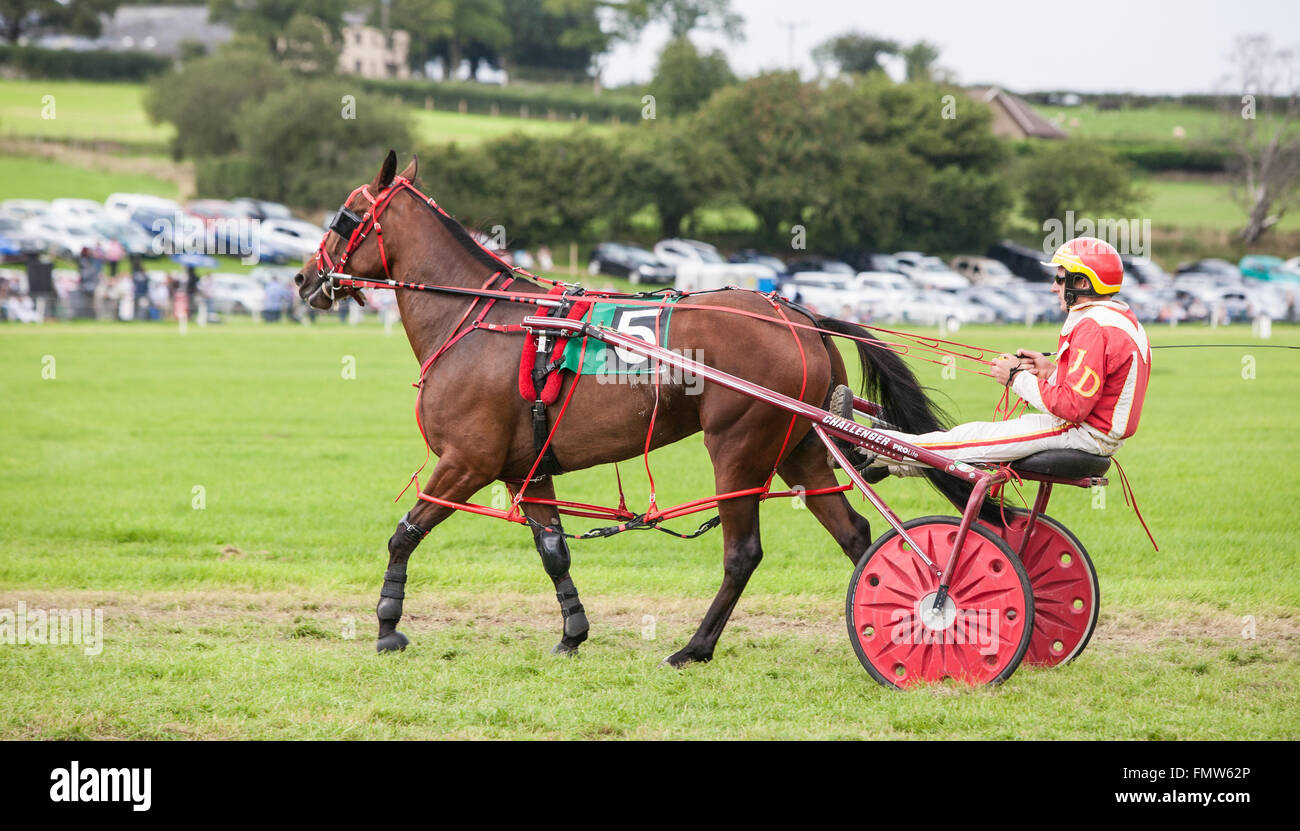 Harness horse racing at Tregaron,Ceredigion,Wales,U.K.,Europe Stock ...